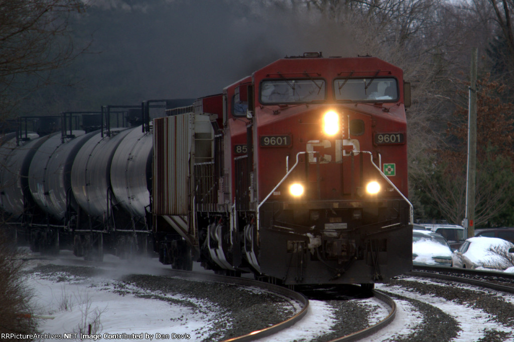 CP AC44CW 9601 leads K048-23